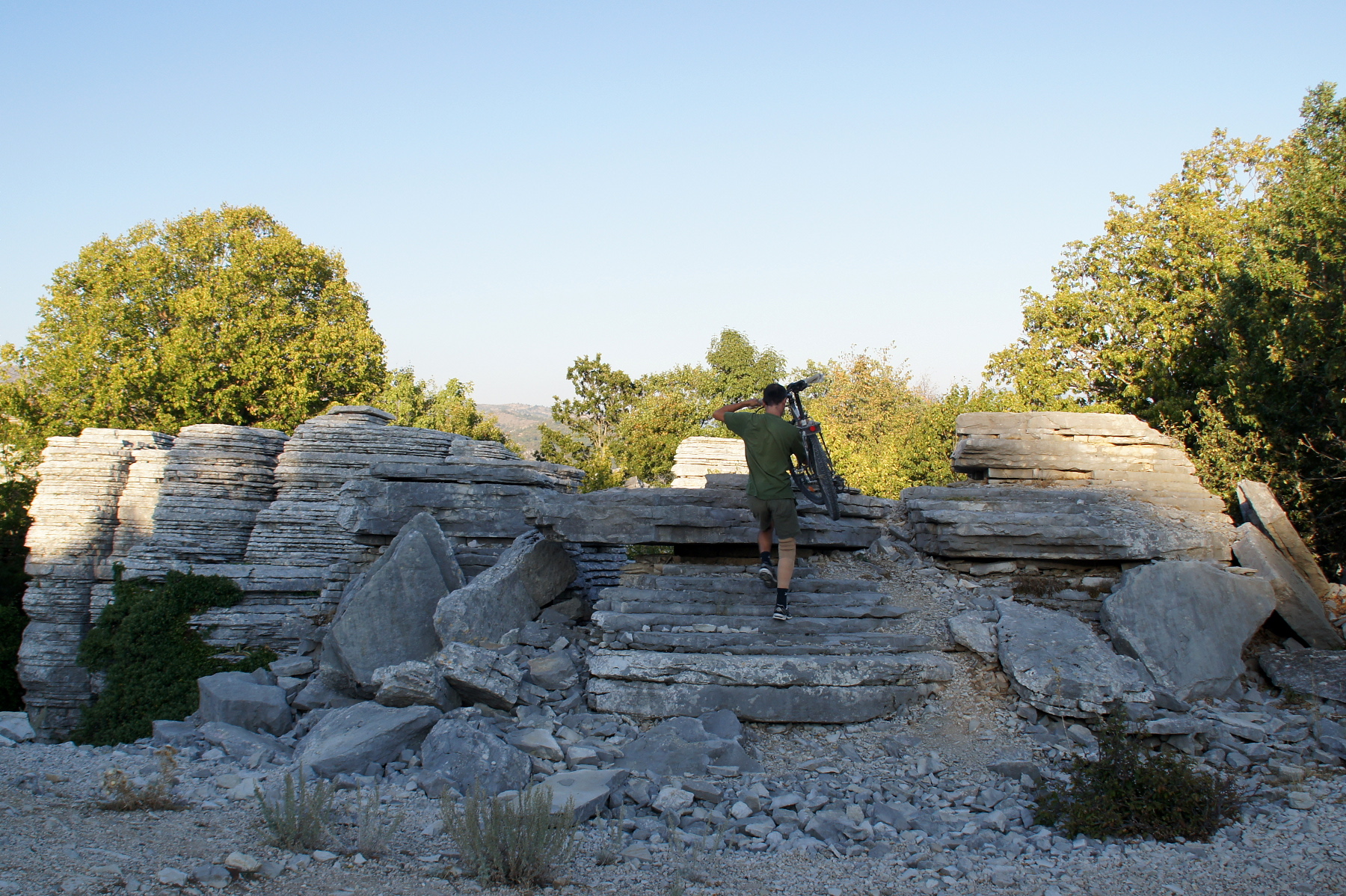 The rock forest – The Marvellous Journey